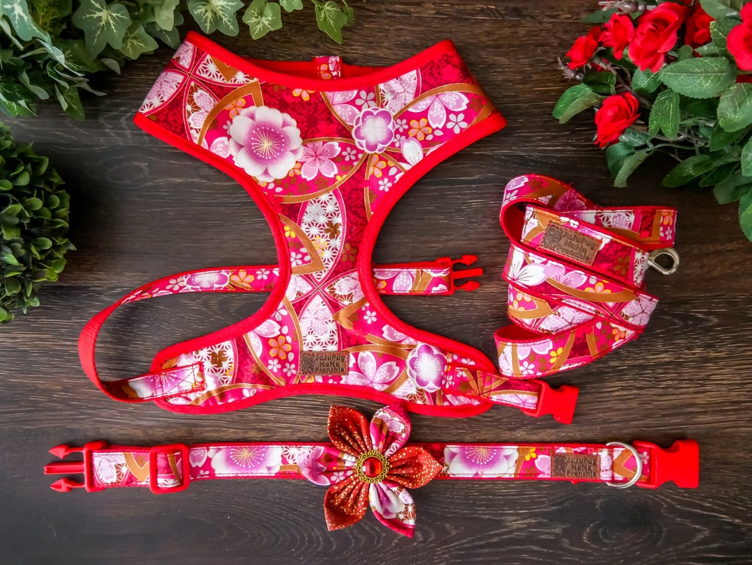 Floral Girl Dog Harness Leash Set Flower Dog Collar Tropical - Etsy