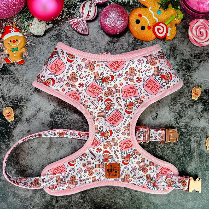 Girly Dog Leash - Etsy