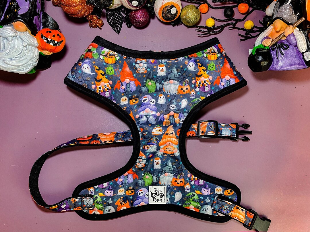 Halloween Gnome Dog Harness Vest/ Boy Girl Dog Harness/ Spooky Cute Dog ...