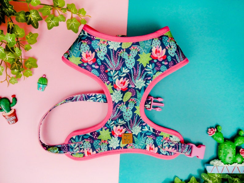 Girl Cactus Dog Harness Set/ Succulent Dog Harness Vest/ - Etsy