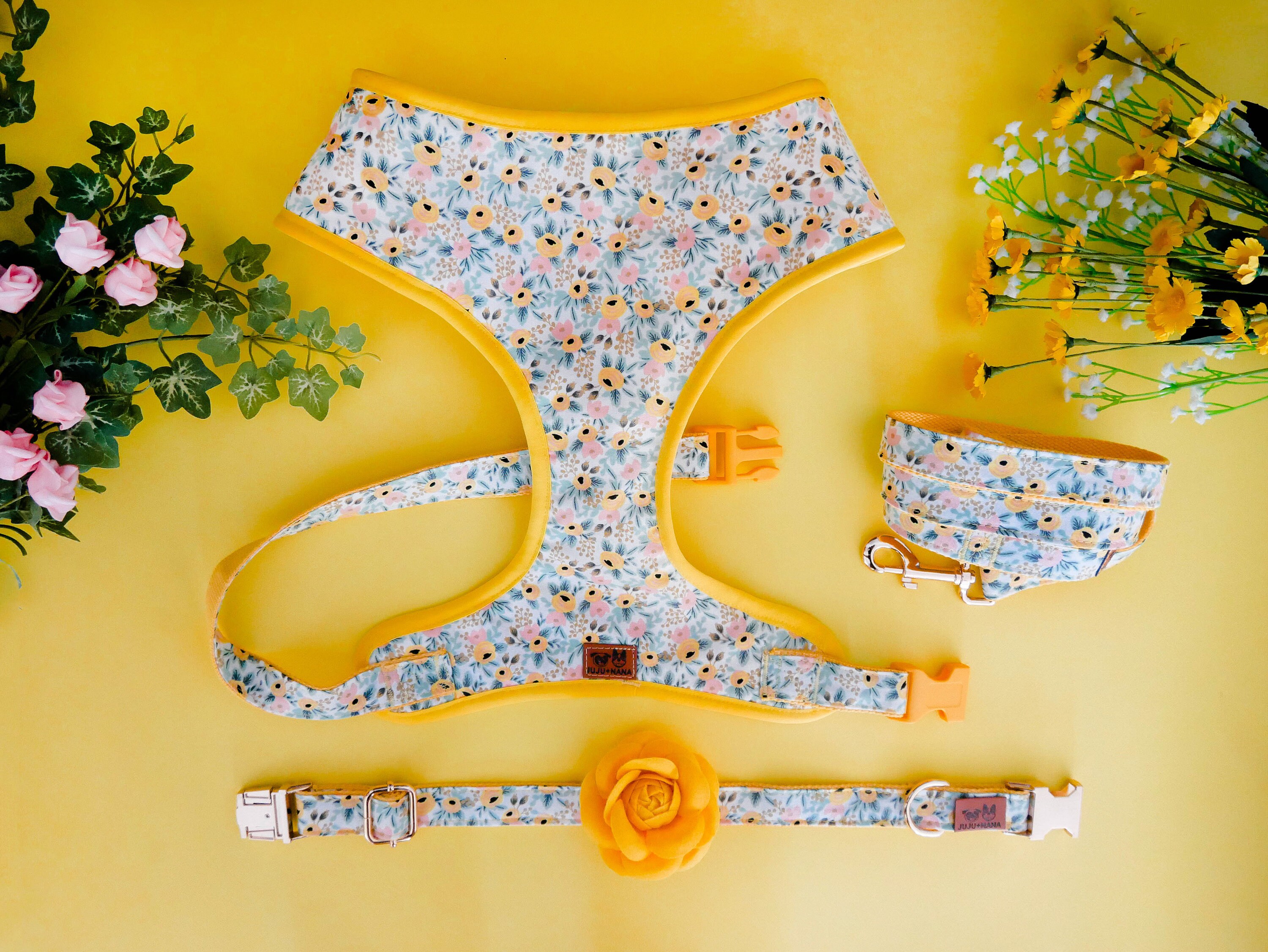 Katherine Harness's Instagram, Twitter & Facebook on IDCrawl