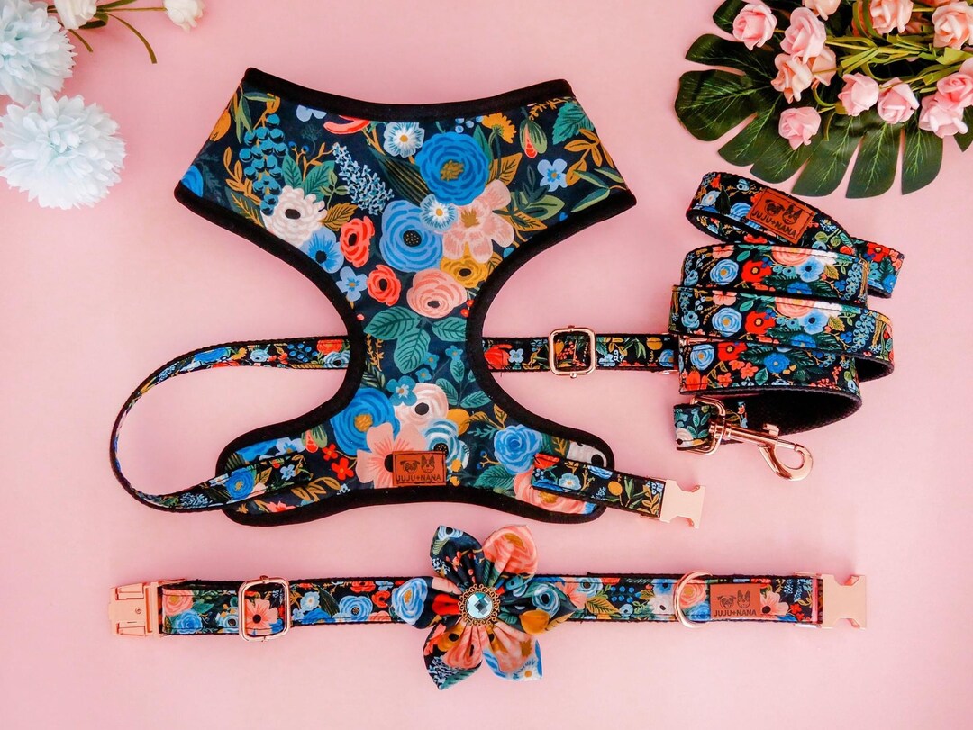 Floral Girl Dog Harness Leash Set/ Rifle Paper Co Dog Harness and Leash ...