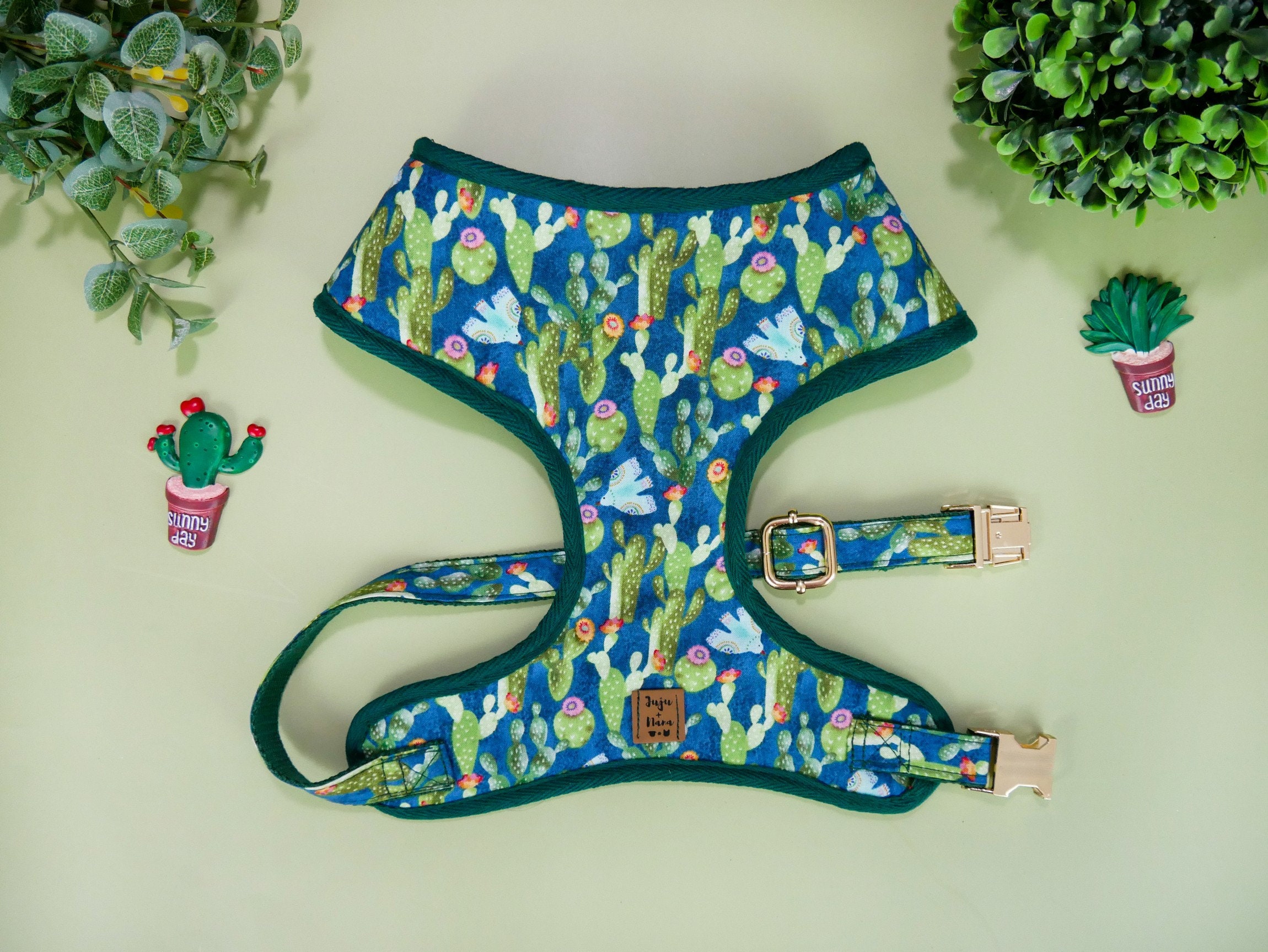 Cactus dog harness leash set/ Succulent dog harness Vest/ boy | Etsy