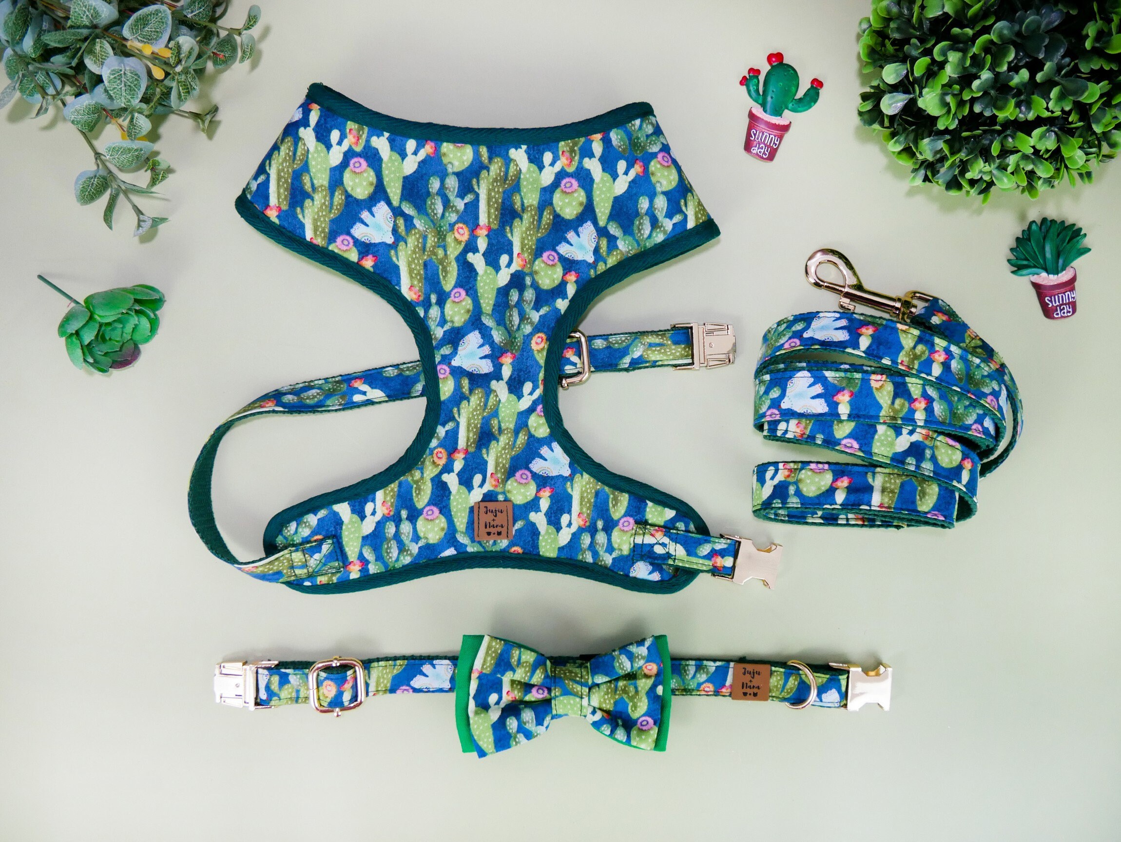 Cactus dog harness leash set/ Succulent dog harness Vest/ boy | Etsy