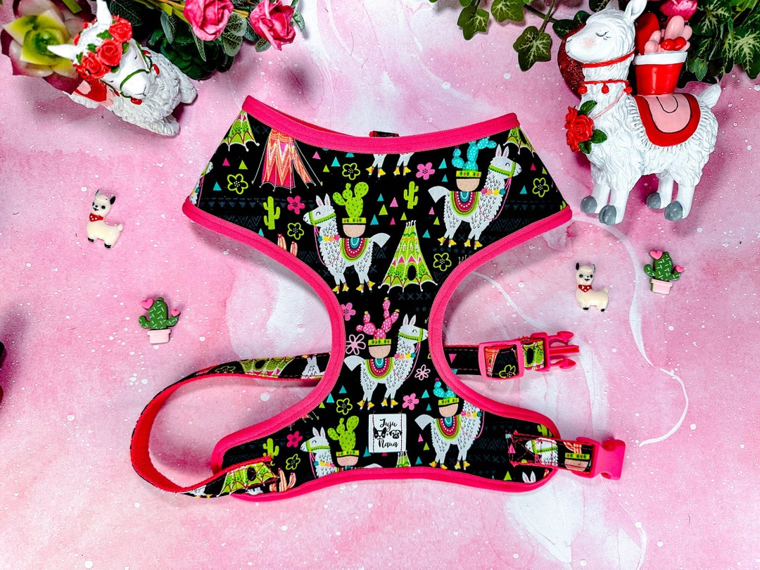 Succulent Llama Dog Harness Vest/ Cactus Girl Dog Harness/ Cute Spring ...