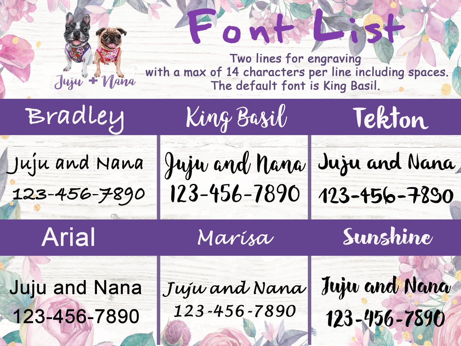 Cactus dog harness leash set/ Succulent dog harness Vest/ boy | Etsy