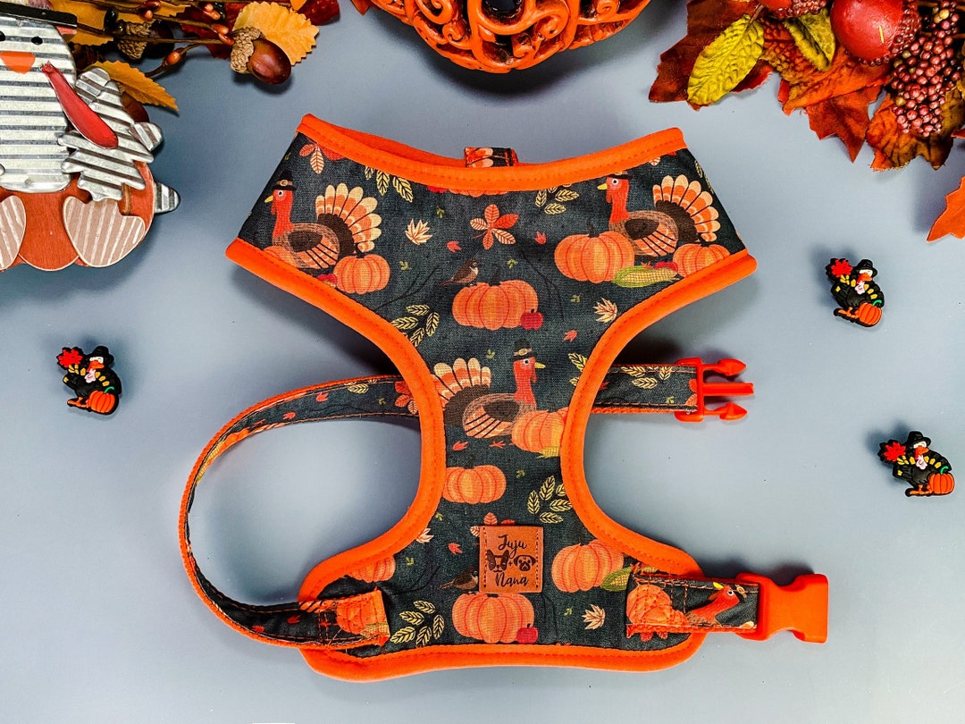 Thanksgiving Turkey Dog Harness/ Girl Boy Dog Harness Vest/ Fall ...