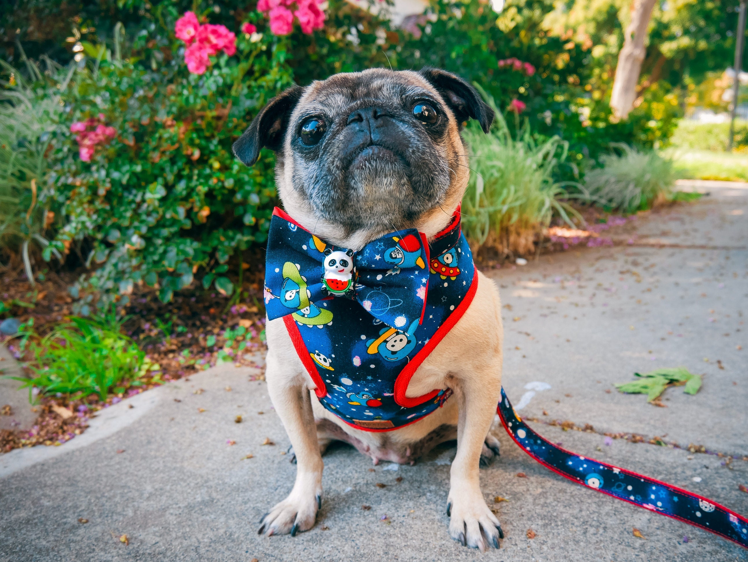 Galaxy Boy Dog Harness Vest, Rocket Space Panda Dog Harness, Blue Red ...