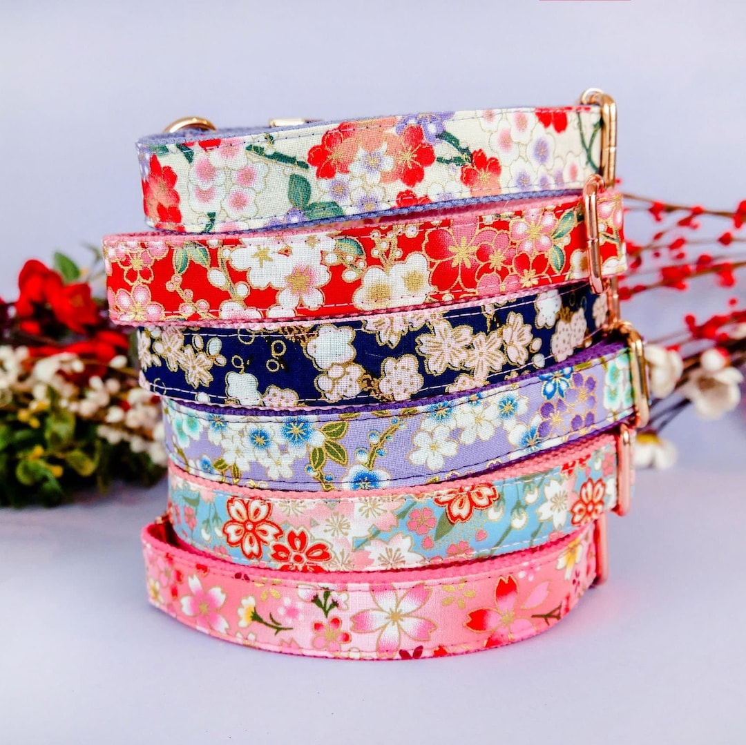 Japanese Kimono Floral Dog Collar/ Girl Boy Dog Collar/ Cherry Blossom ...
