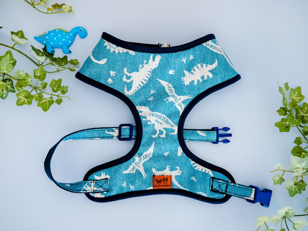 Dinosaur Blue Dog Harness/ Boy Girl Dog Harness Vest/ Cute Designer Dog ...