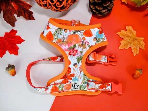 Harvest Floral Dog Harness Vest/ Girl Boy Harness/ Fall Autumn - Etsy