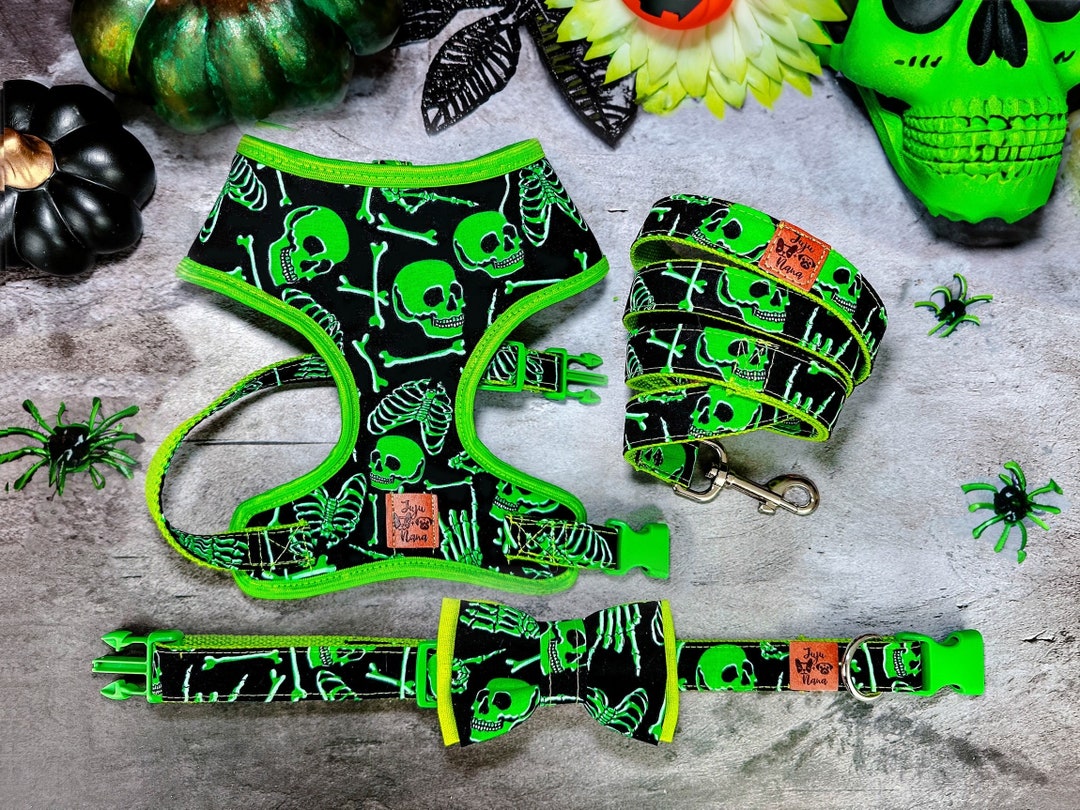 Halloween Skulls Skeleton Dog Harness Leash Set/ Spooky Glow in the ...