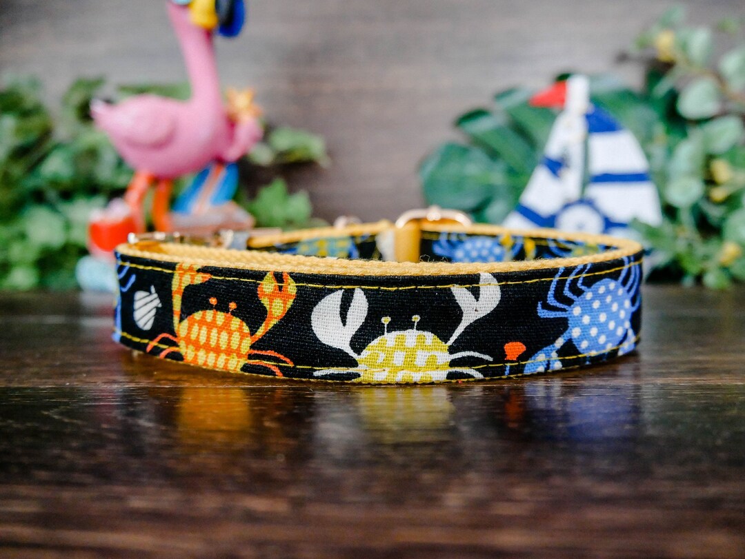 Nautical Boy Dog Collar/ Crab Beach Colorful Dog Collar/ Cute Male Dog ...