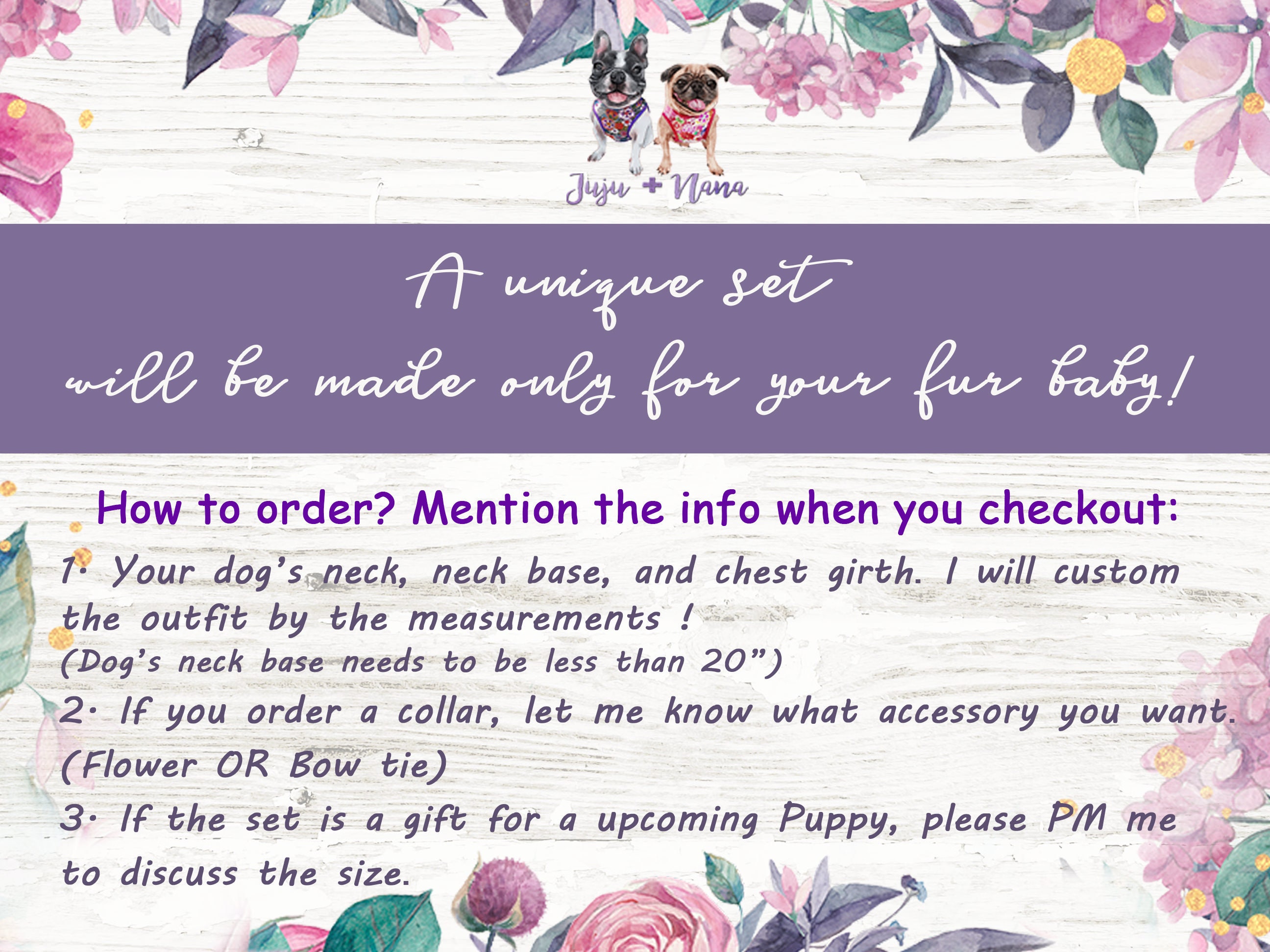 Cactus dog harness leash set/ Succulent dog harness Vest/ boy | Etsy