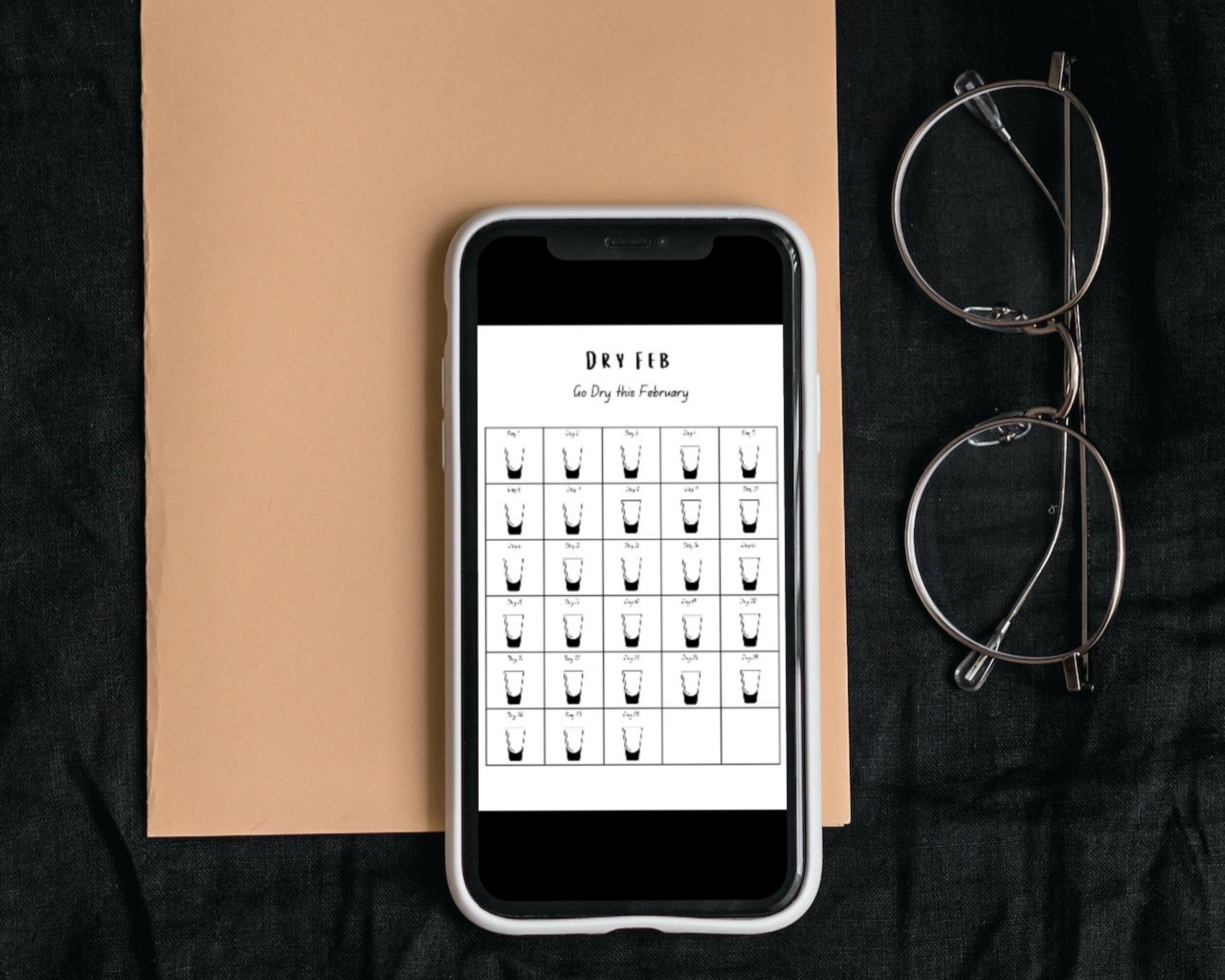 Dry Feb Tracker: Sober Challenge Printable (digital Download) - Etsy