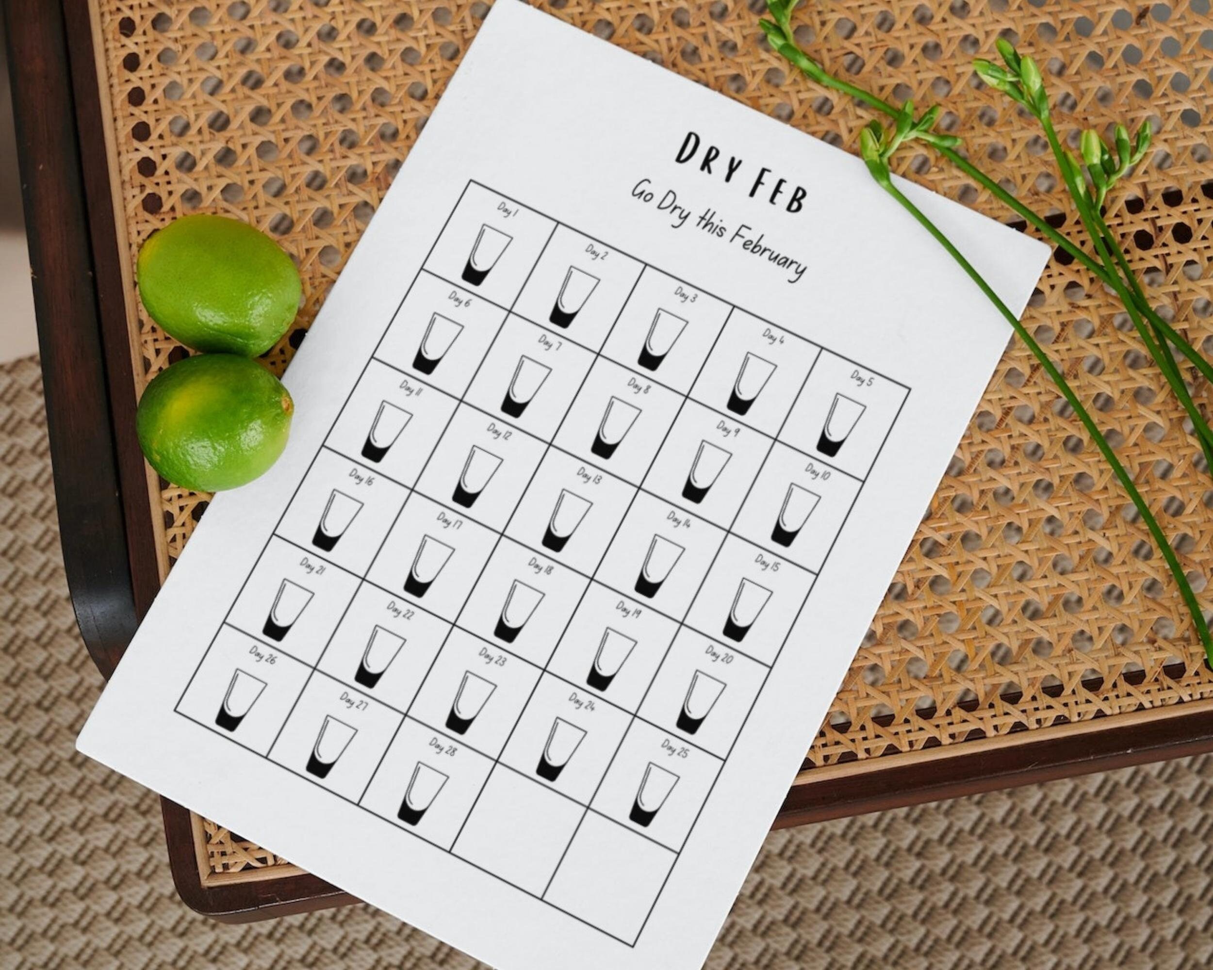 Dry Feb Tracker: Sober Challenge Printable (digital Download) - Etsy