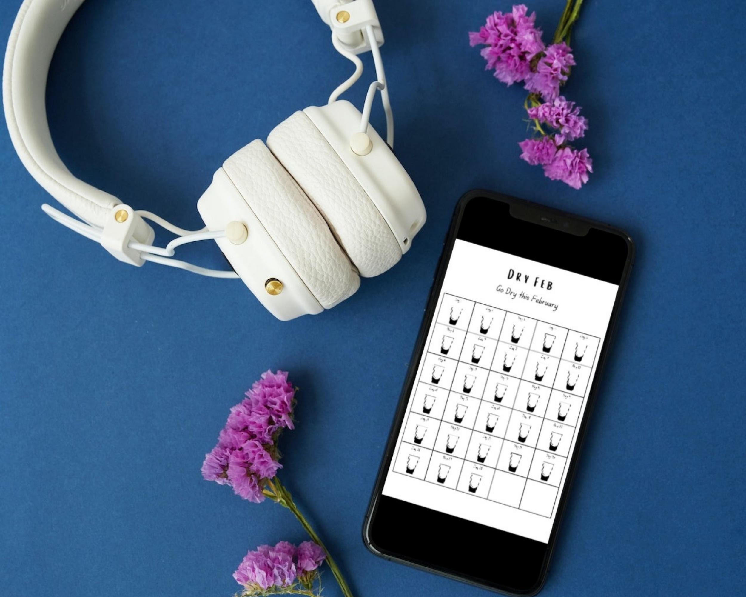 Dry Feb Sober Challenge Tracker | Go Dry This February to Raise Funds ...