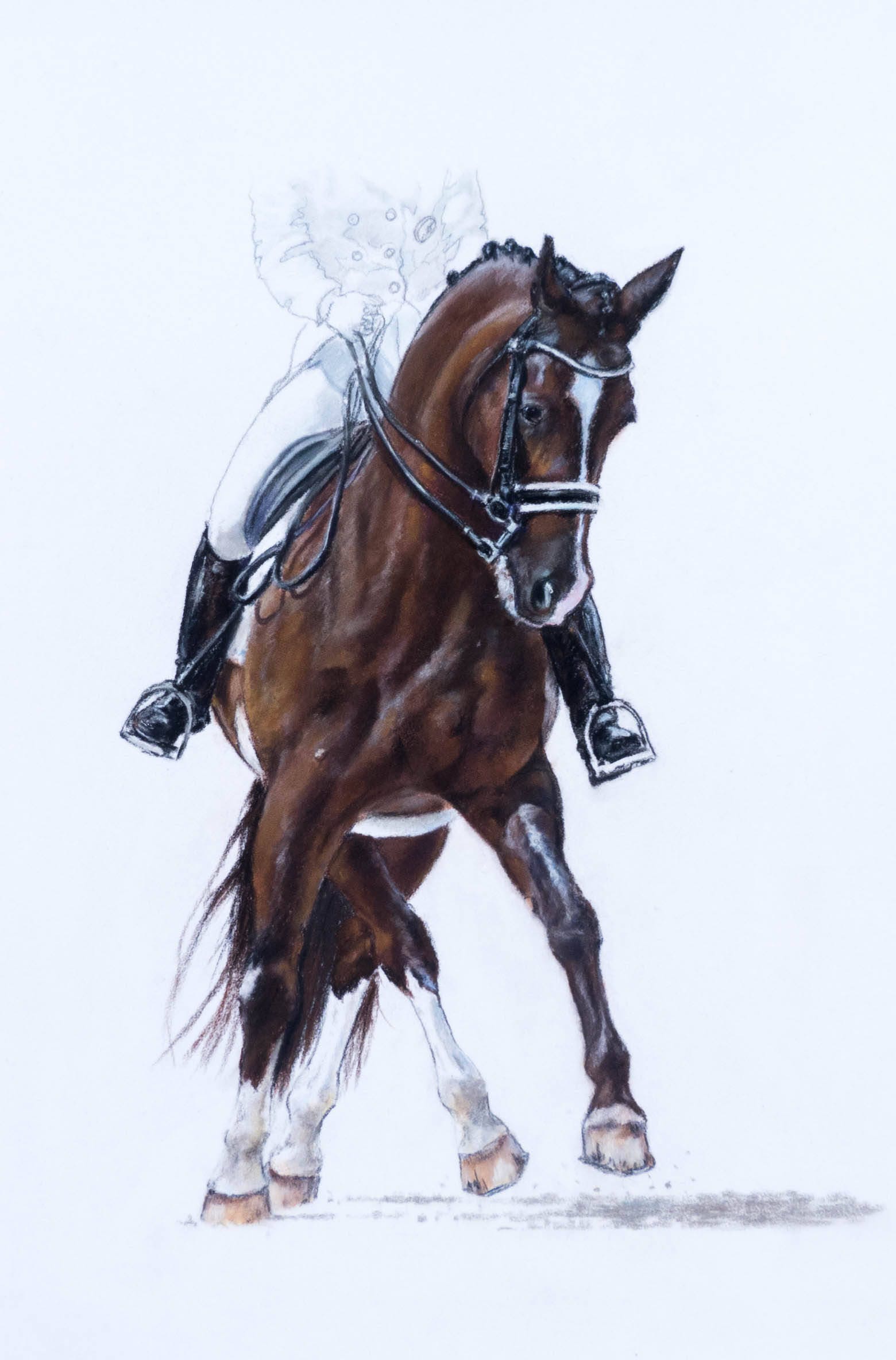 VALEGRO, Print of Valegro, Dressage, UNMOUNTED Limited Edition Print ...