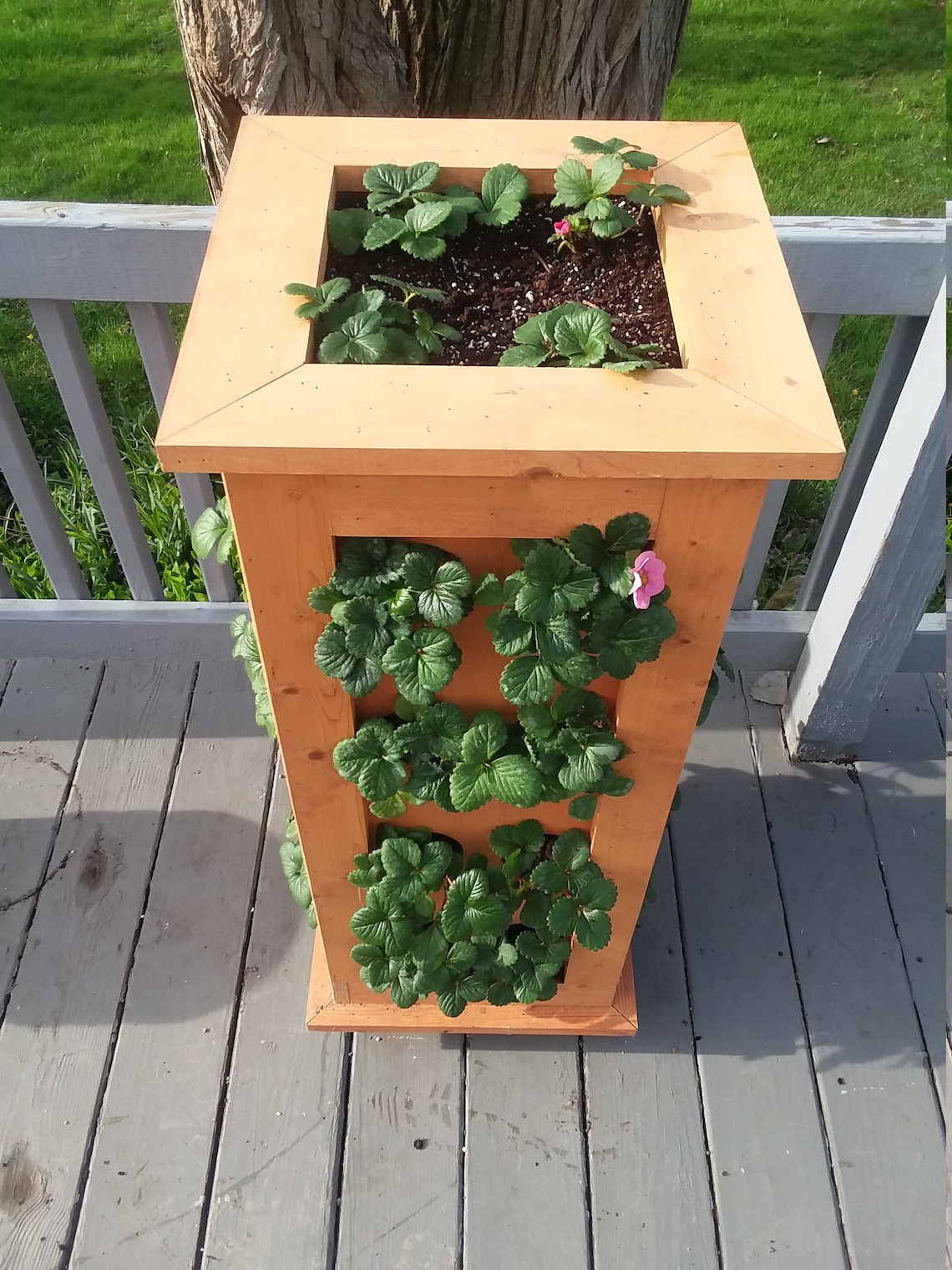 Strawberry Tower Planter - Etsy