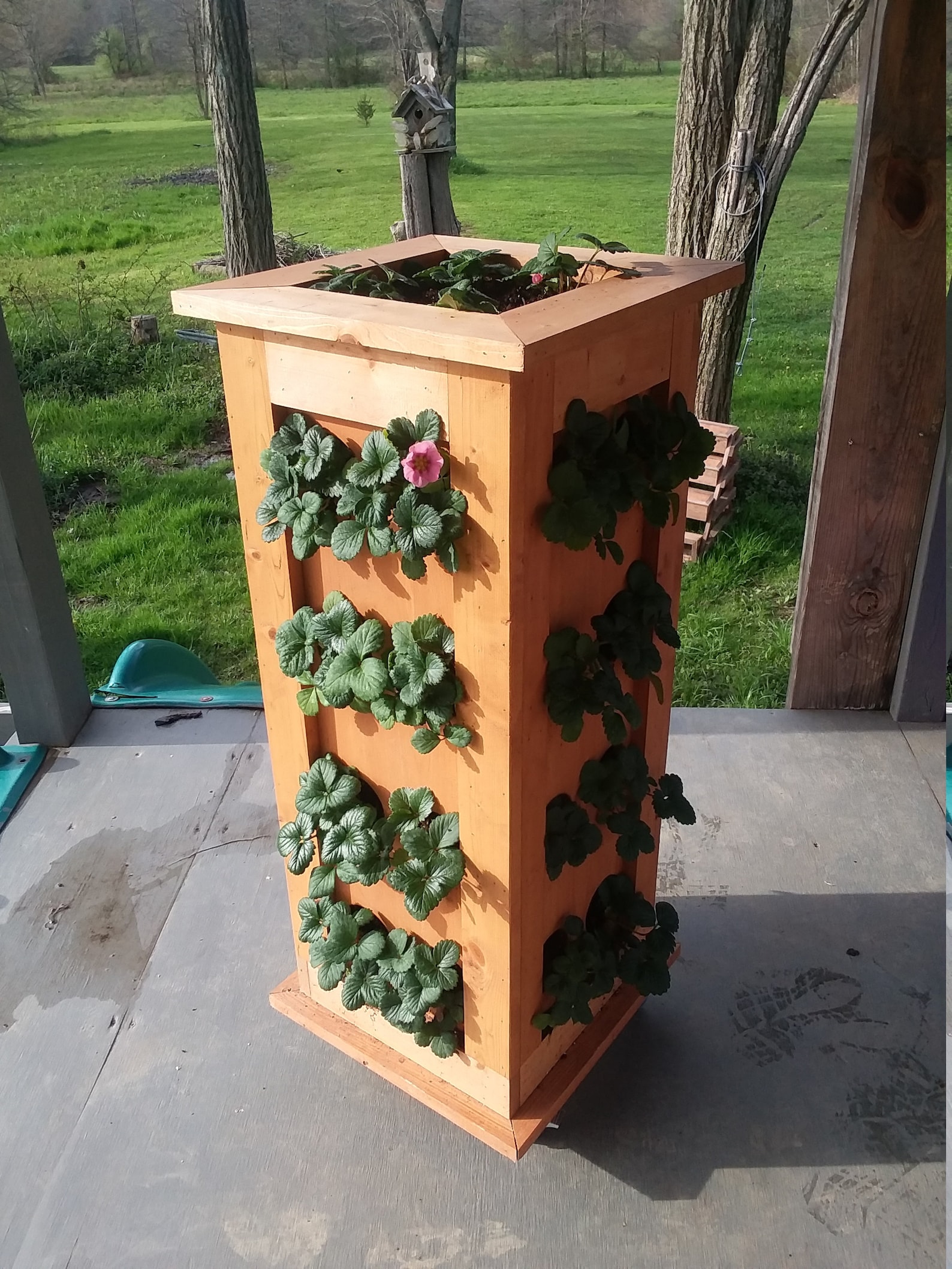 Strawberry Tower Planter - Etsy