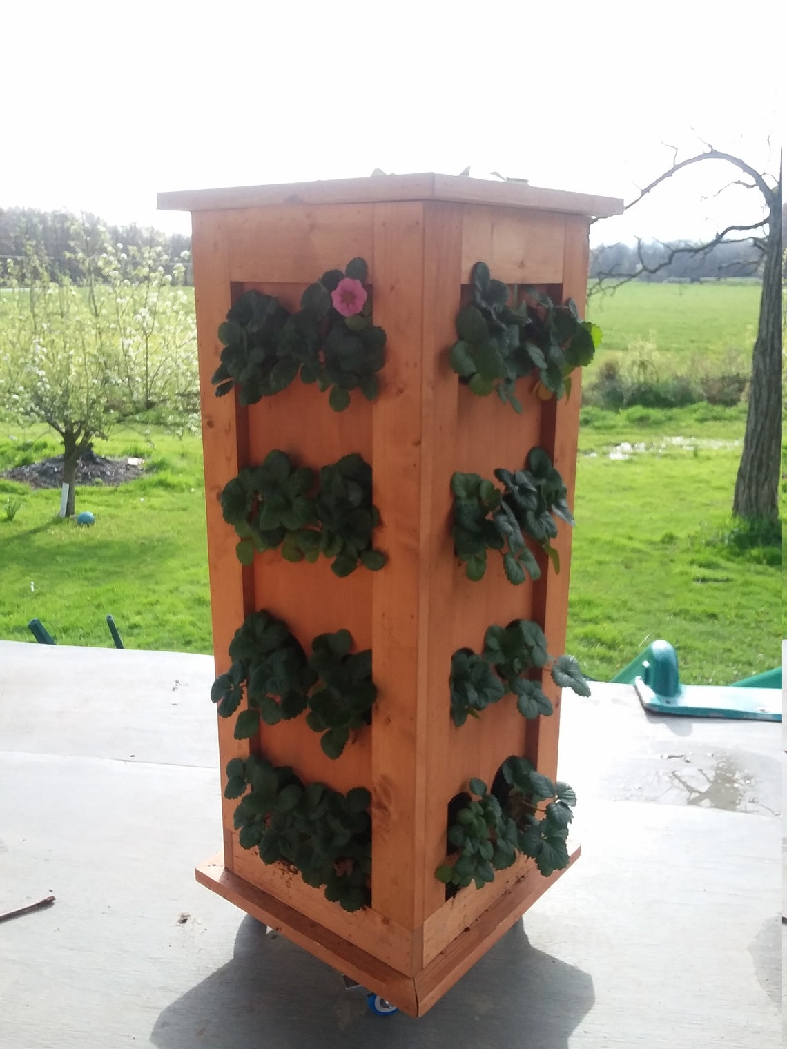 Strawberry Tower Planter - Etsy