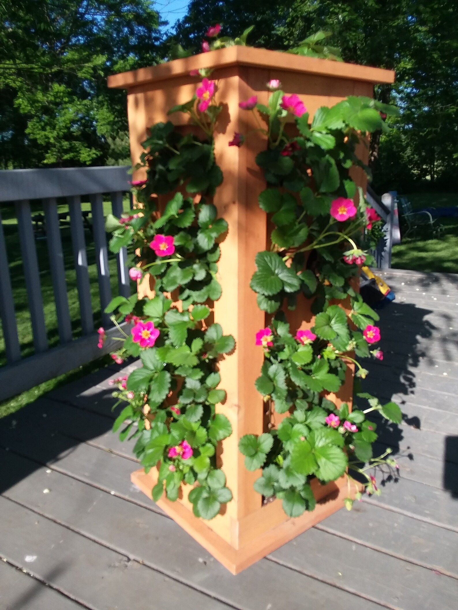 Strawberry Tower Planter - Etsy