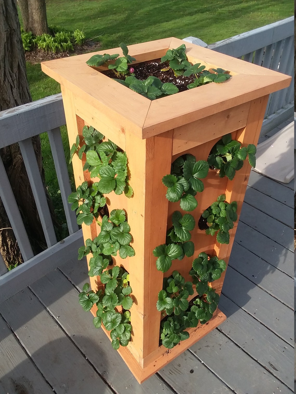 Strawberry Tower Planter - Etsy