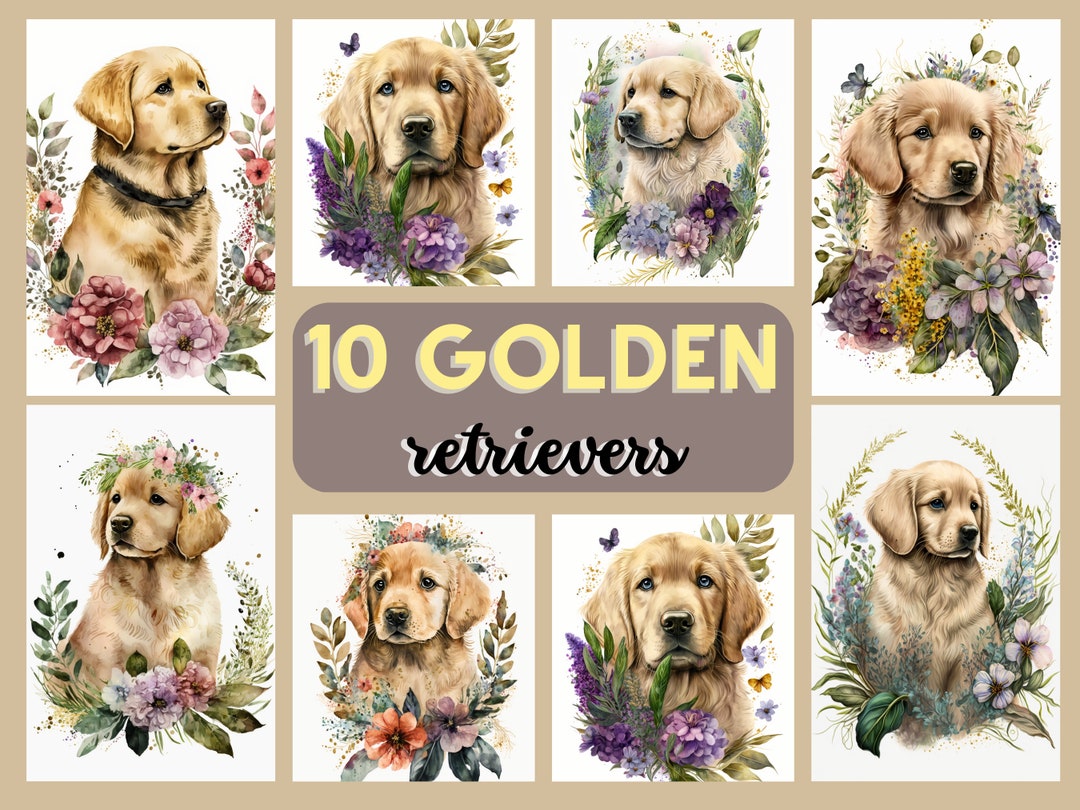 Floral Golden Retrievers Digital Illustrations, Retriever Puppy, Puppy ...