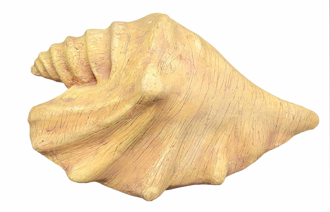 Biodegradable Conch Shell Urn. Water Burial Urn. Sea Lover or Beach ...