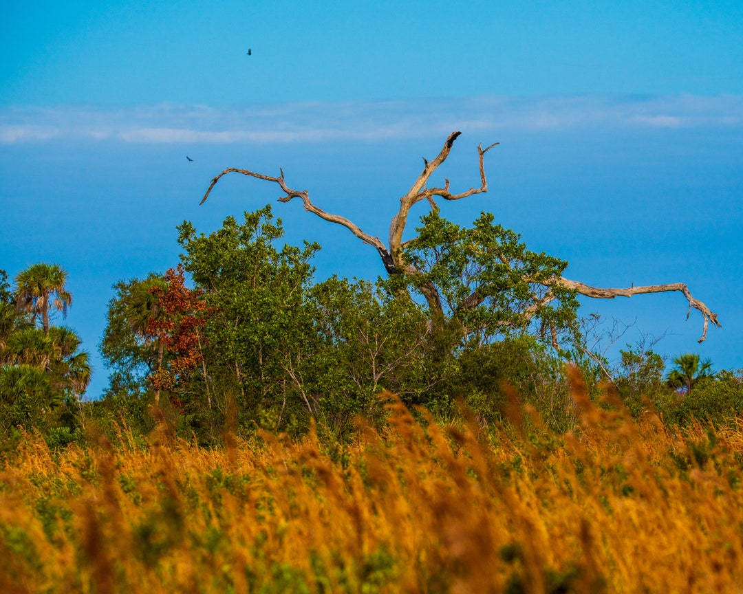 Prairie Color - Etsy