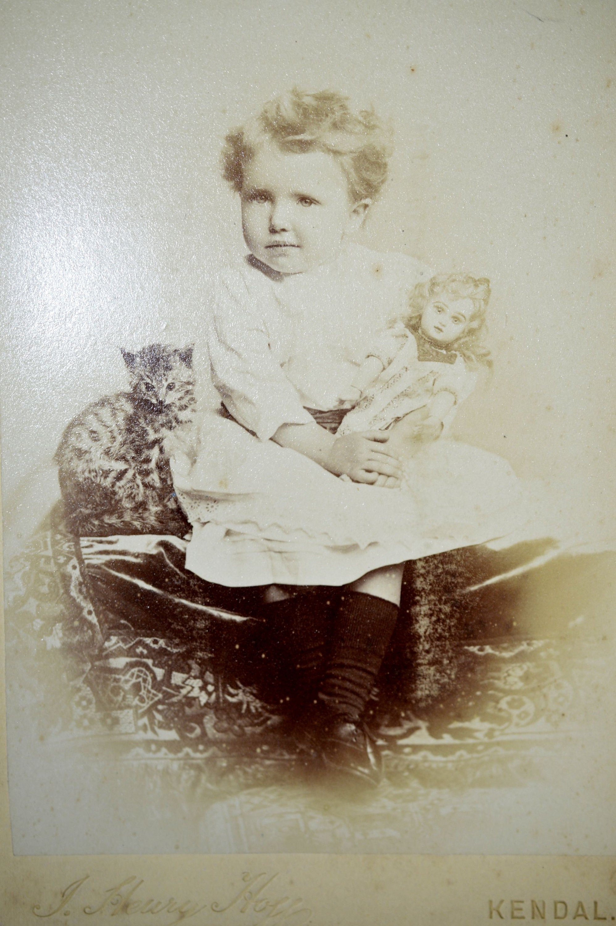 Vintage 1889 Cabinet Card Adorable Toddler With Doll and Cat by J Henry ...