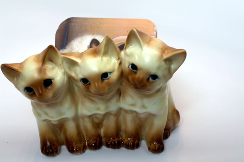 Adorable Vintage Siamese Cat Napo Coaster Set Holder /planter - Etsy