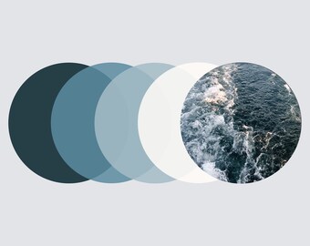 Julius Caesar Paint Chip Decor PRINTABLE Shakespeare Color Palette Art ...