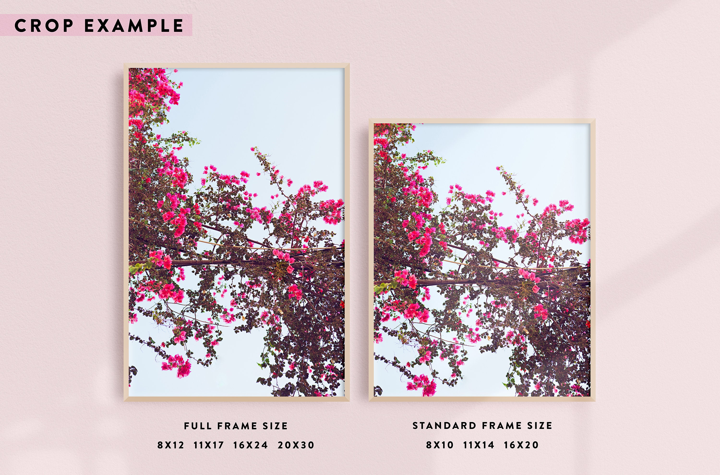 Greek Floral Wall Art, Greek Flowers Print, Pink Flower Photography ...