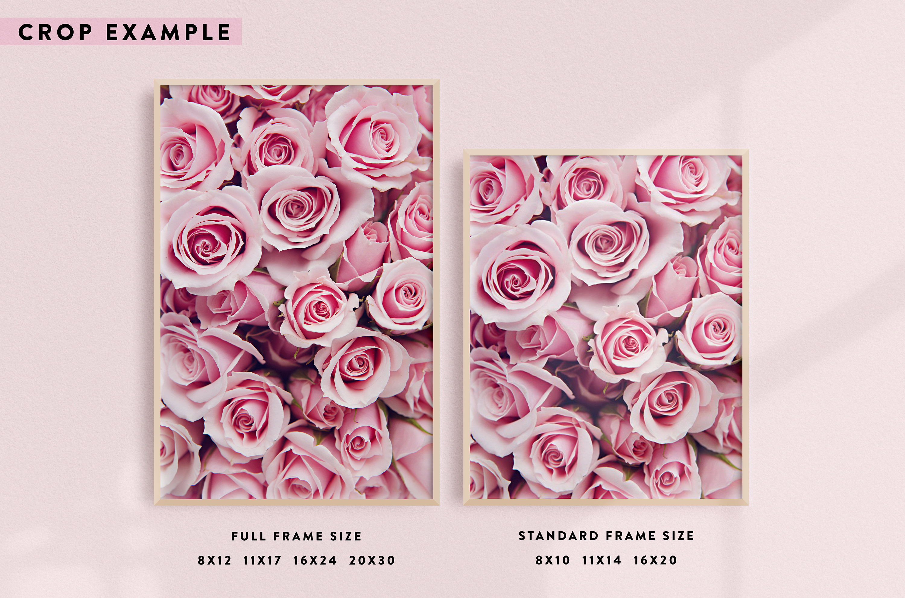 Pink Flower Poster Roses Photography Pink Roses Print Pink - Etsy