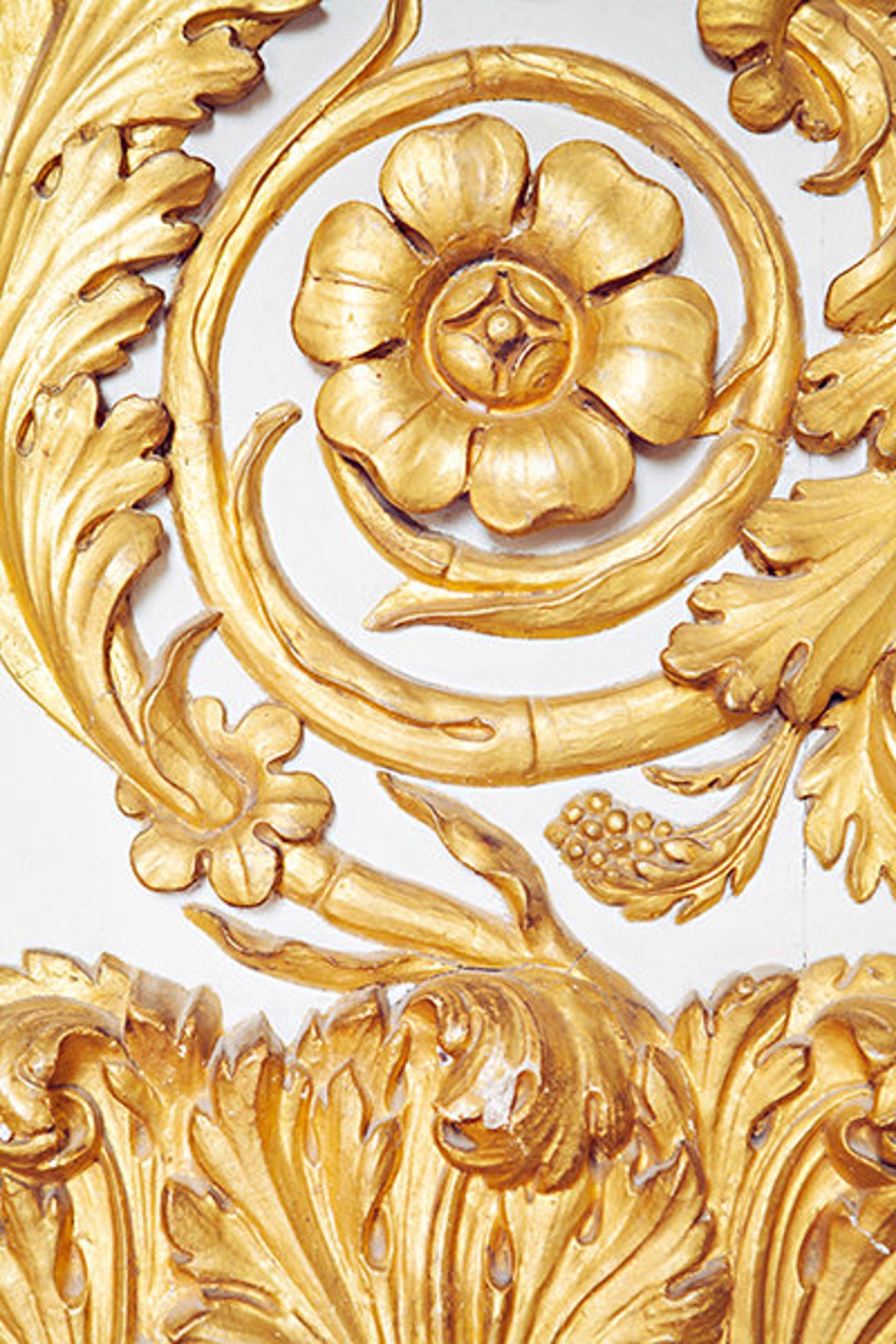 French Flower Photography, Paris Flower Wall Art, Pictures of Paris ...