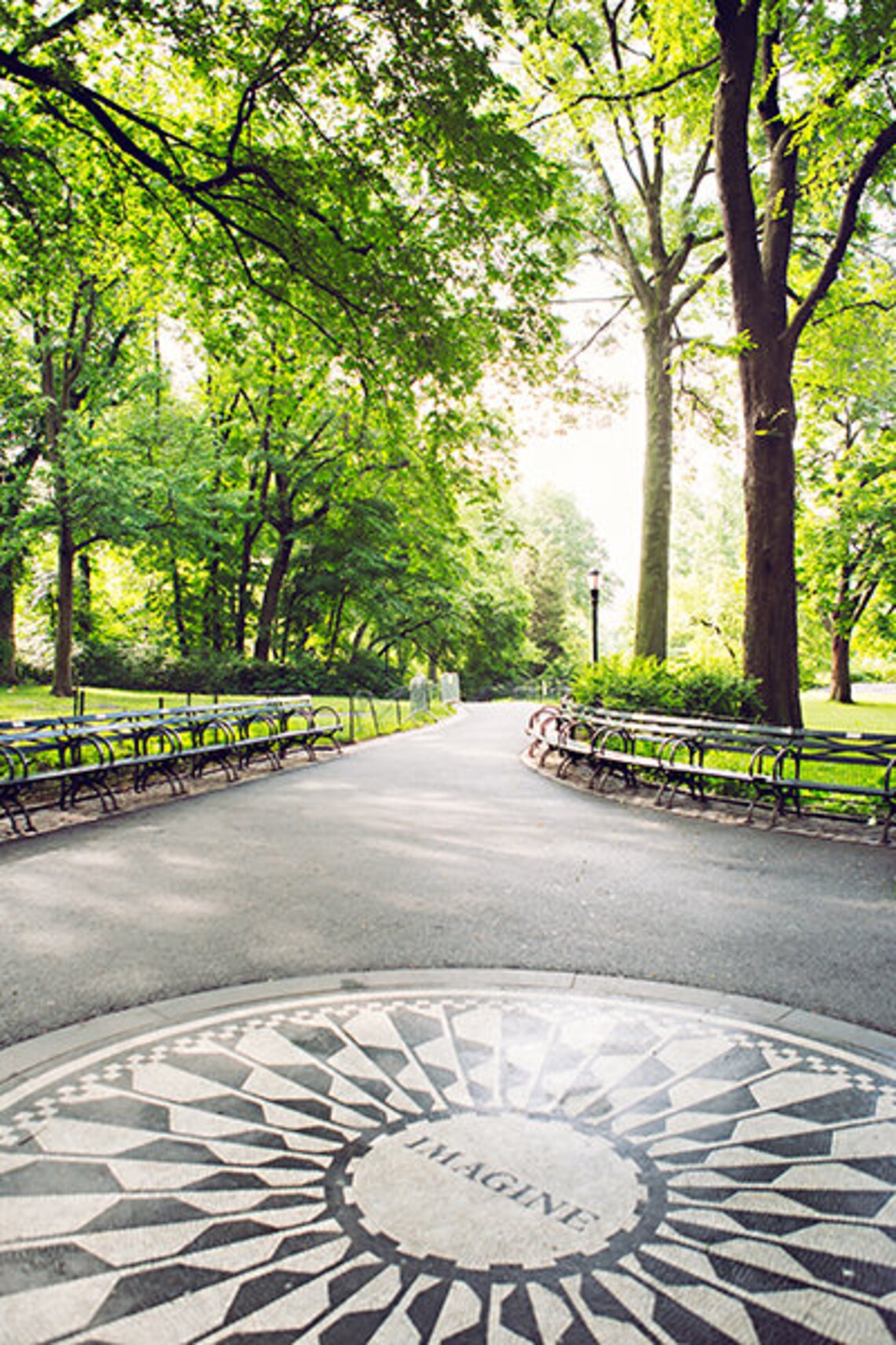 Imagine Central Park Print, New York Houses Print, New York Wall Art ...