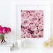 Pink Flower Poster, Roses Photography, Pink Roses Print, Pink Flower ...
