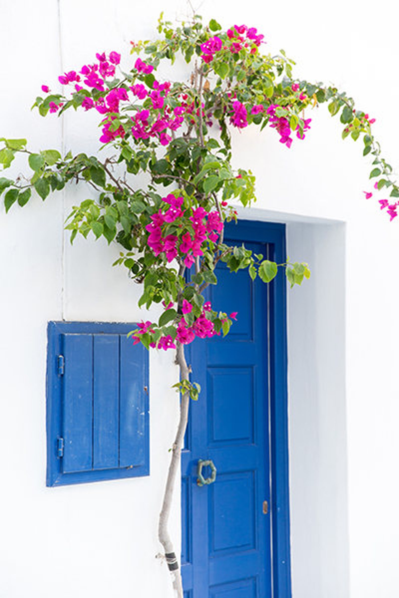 Door Wall Art Greek Door Print Greece Door Photography - Etsy