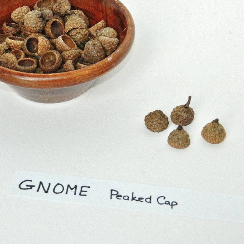 Gold Plant People - Etsy