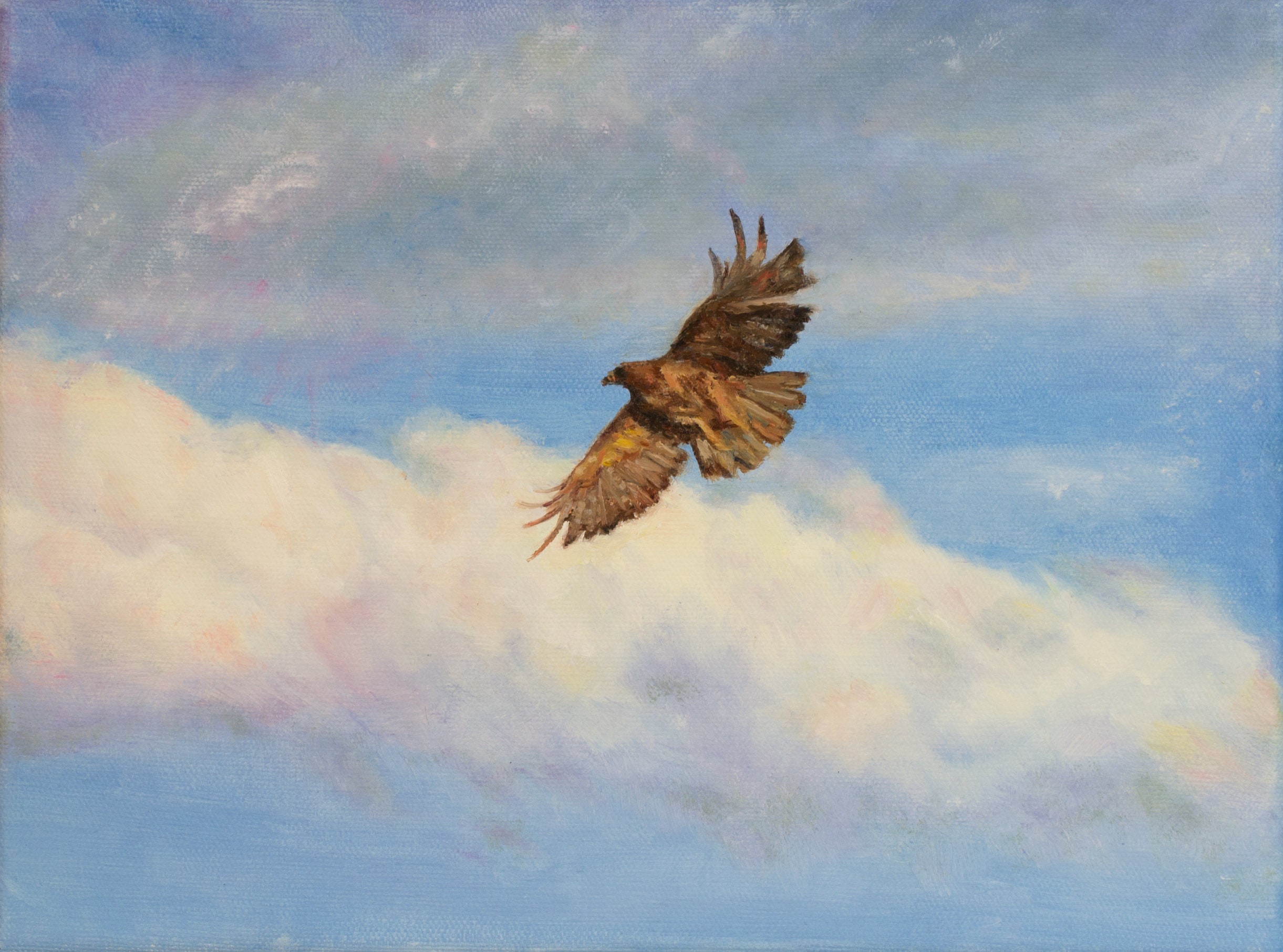 Original Hawk Painting, Oil Painting of a Red-tailed Hawk Soaring in ...