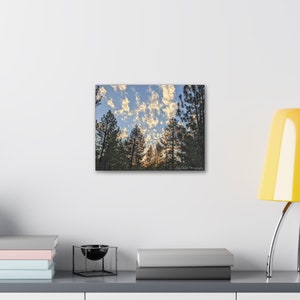 Sunrise Over Pine Trees in San Gabriel Mountains, Canvas Gallery ...