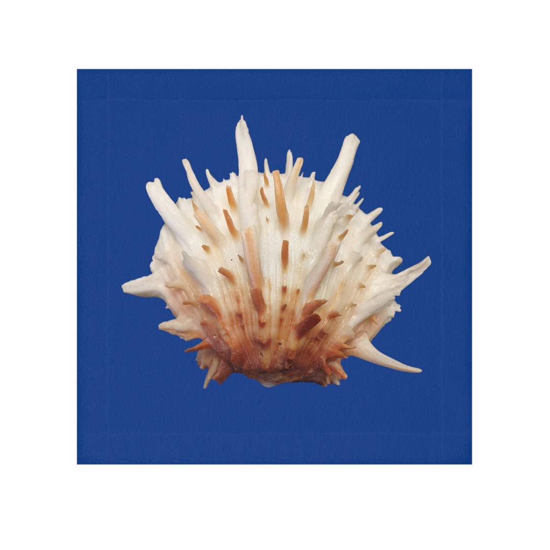 Spiny Shell Face Towel 13x13 Blue Background Colors, Bathroom Hand ...