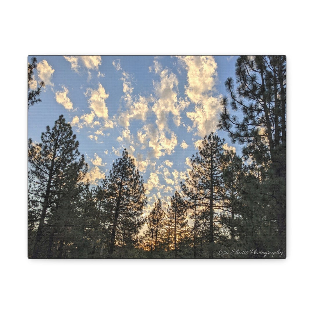 Sunrise Over Pine Trees in San Gabriel Mountains, Canvas Gallery ...