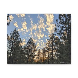 Sunrise Over Pine Trees in San Gabriel Mountains, Canvas Gallery ...