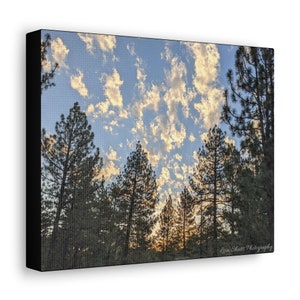 Sunrise Over Pine Trees in San Gabriel Mountains, Canvas Gallery ...