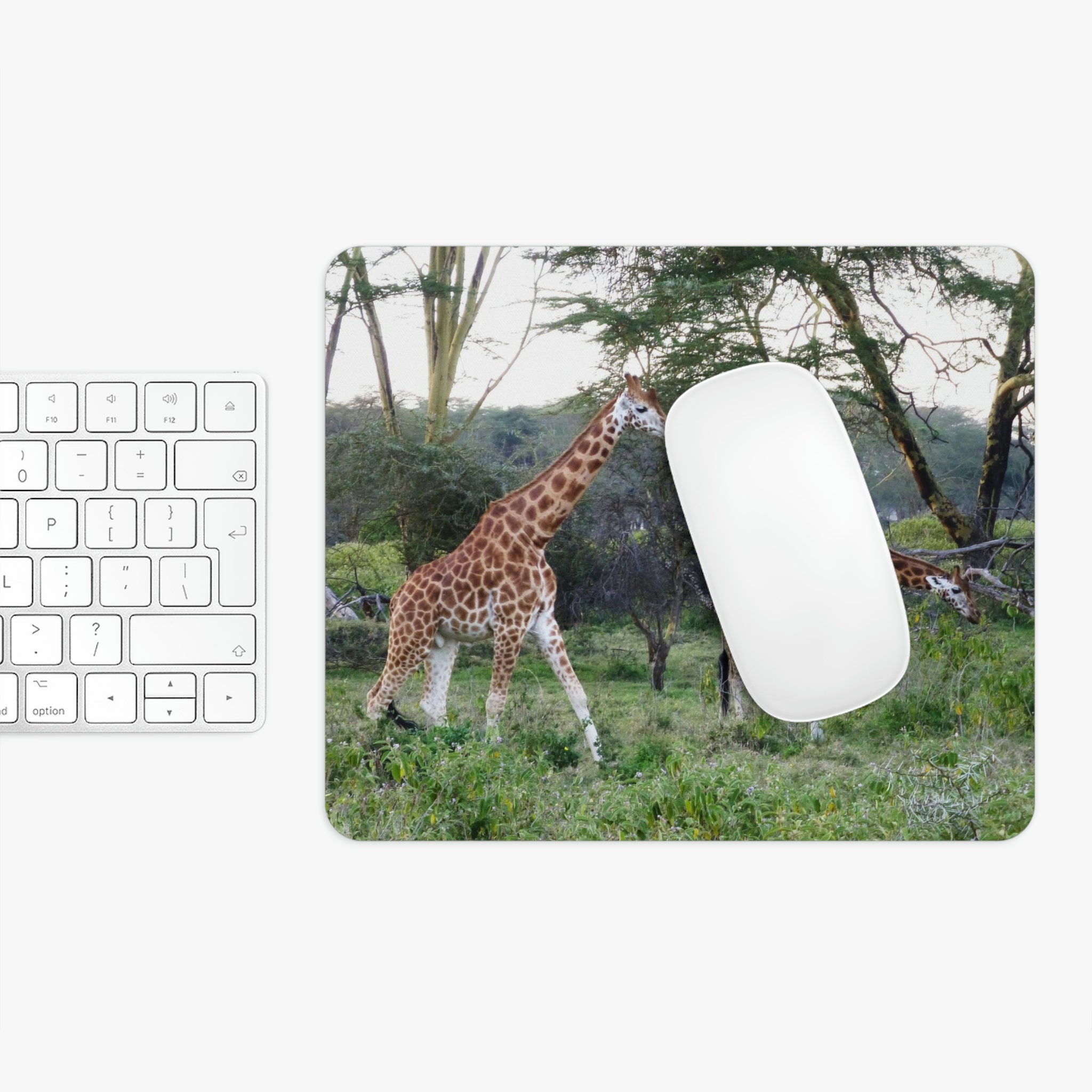 African Giraffe Mouse Pad Safari Photoshatts Wild Animal - Etsy