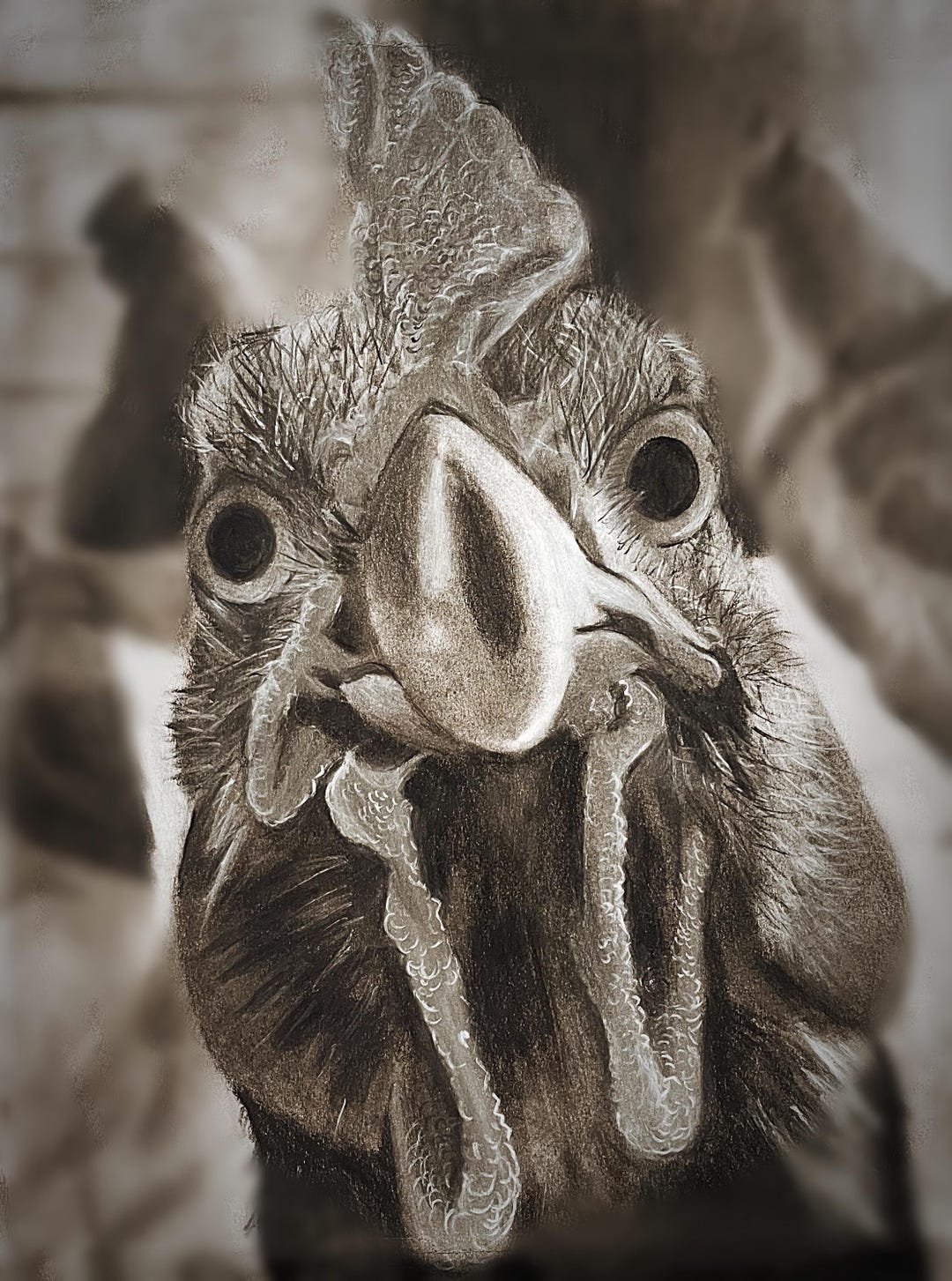 Funny Animal Art Funny Chicken Drawing Cute Animal Art for Farmhouse ...