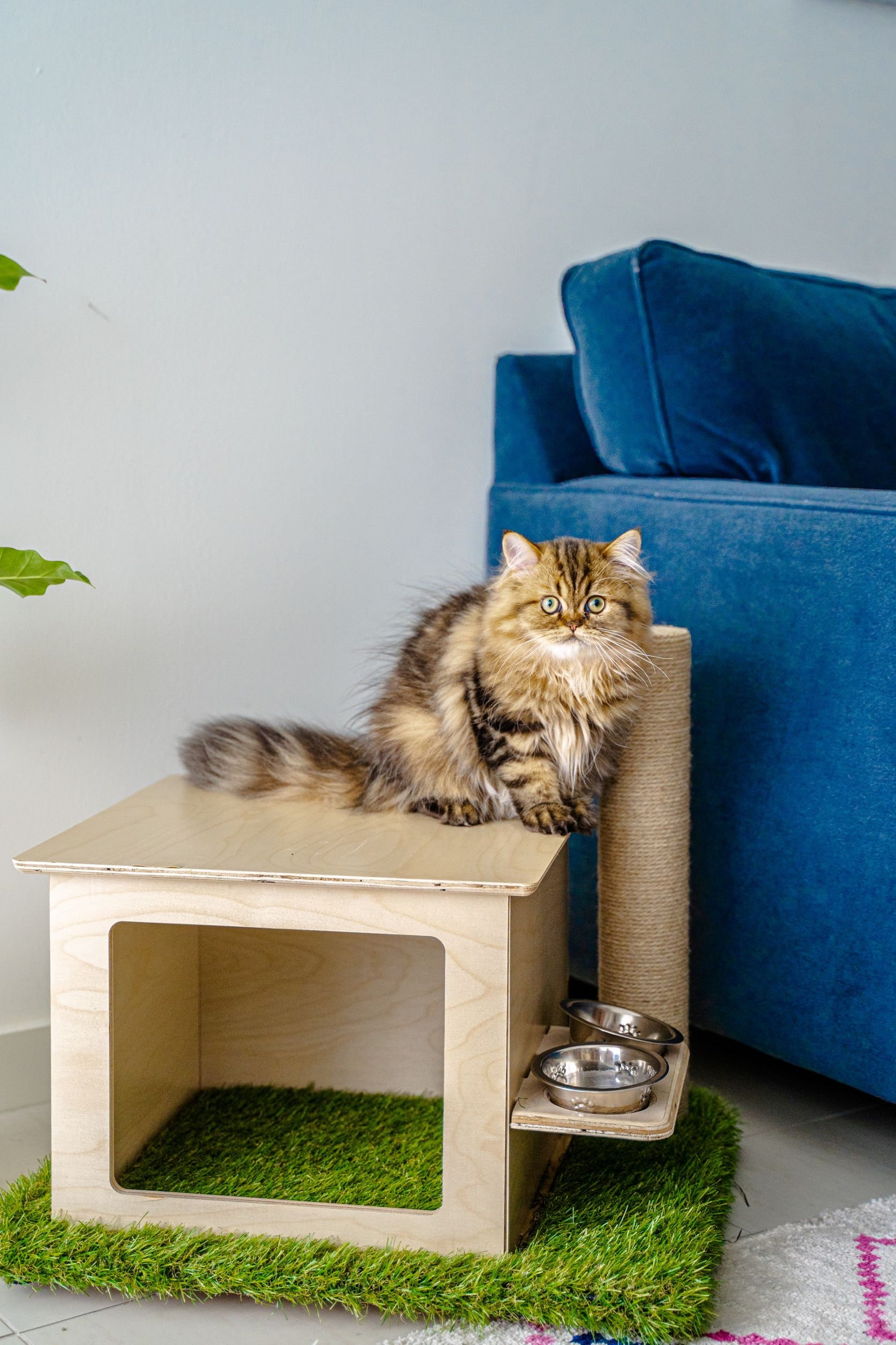 On2 Pets Cat Activity Loft W/scratching Post Modular Cat - Etsy