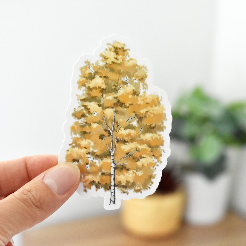 Birch Tree Decal - Etsy